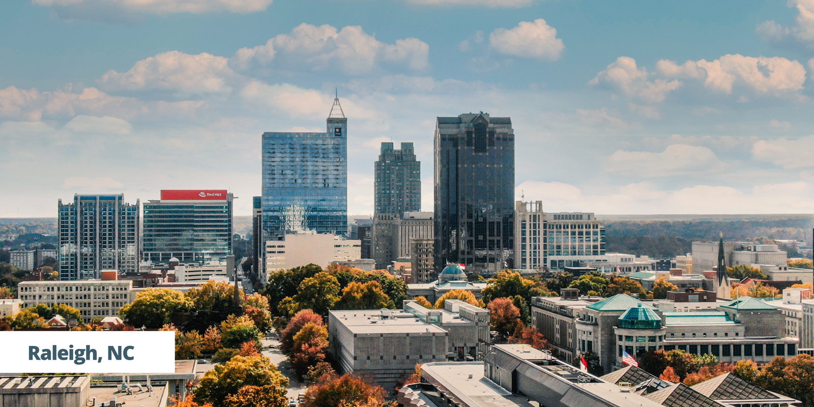 Website Design Raleigh NC | Merkados Website Design Agency